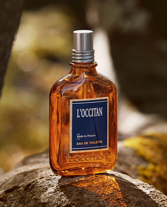 Men's Shaving, Face Care, Skincare, Body & Hair Wash | L'Occitane | L ...