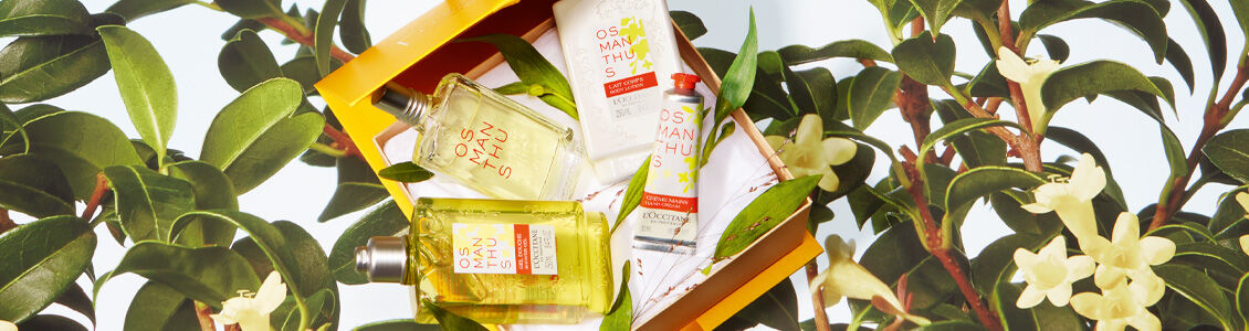 Build Your Perfect Fragrance Set