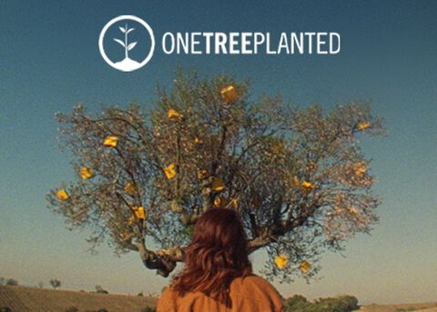 Natural Beauty From The South Of France | L'Occitane USA