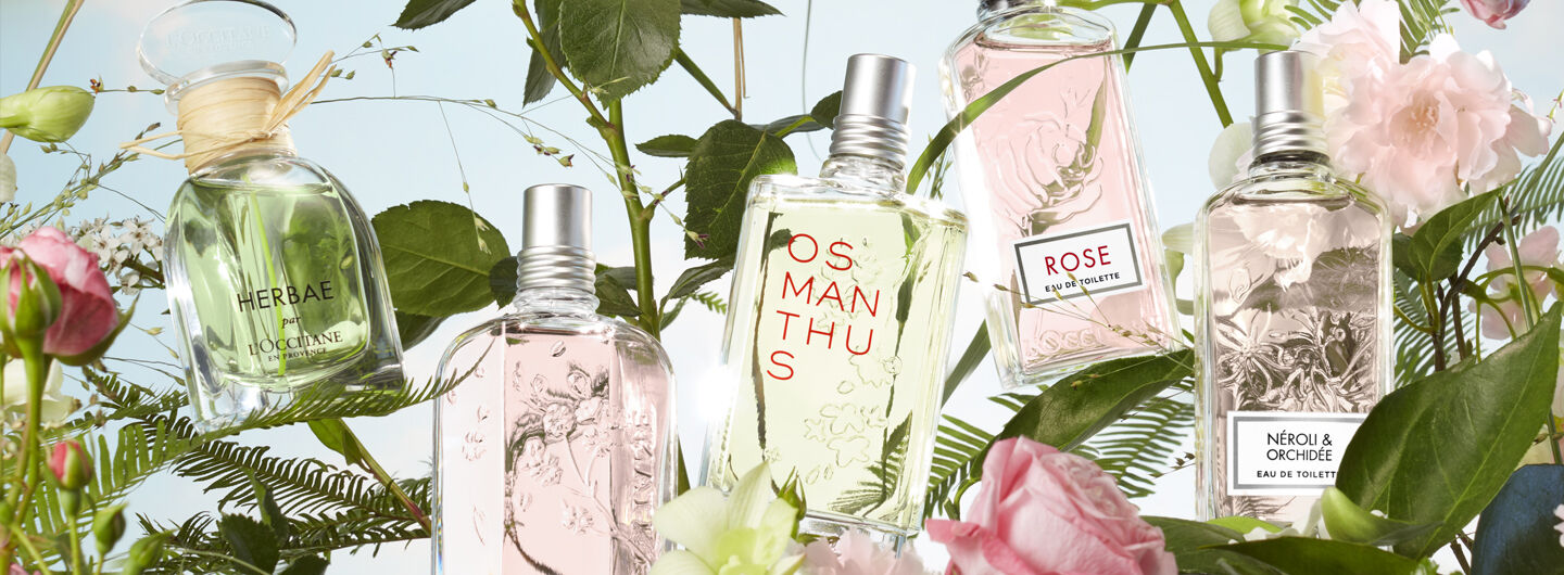 Invigorating and Floral Fragrances For Women & Men | L'Occitane | L ...
