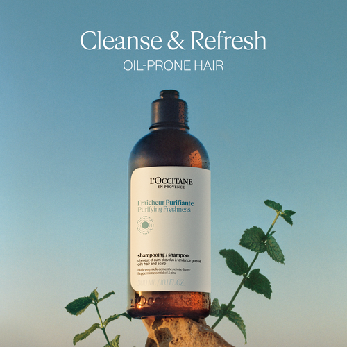 Hair Purifying & Rebalancing Freshness Shampoo | L'Occitane en Provence