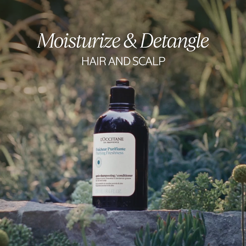 Hair Purifying & Rebalancing Freshness Conditioner | L'Occitane en Provence