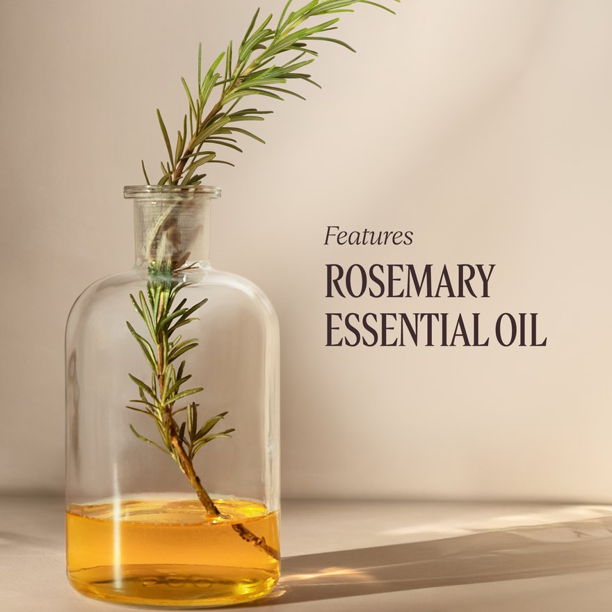 Pro-Density + Advanced Scalp Treatment | L'Occitane en Provence