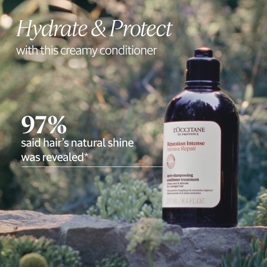 Intensive Repair Conditioner Refill | L'Occitane en Provence