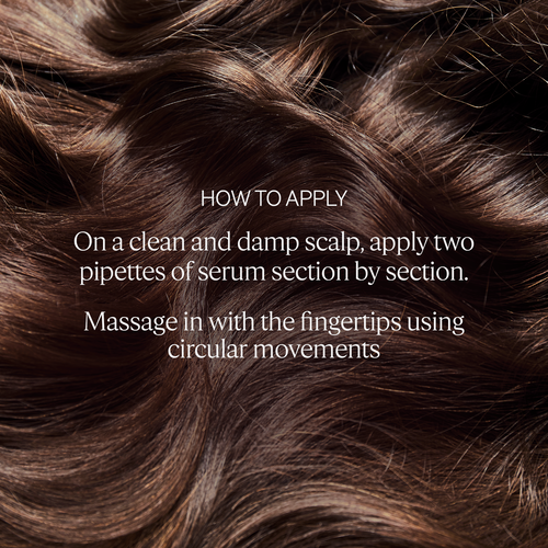 Pro-Density + Advanced Scalp Treatment | L'Occitane en Provence